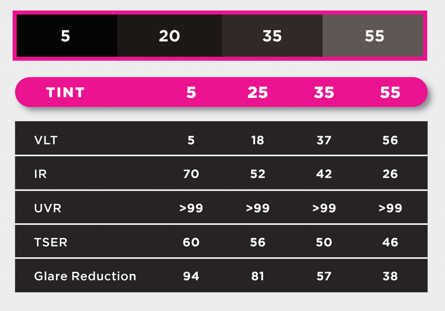 Home Tinting - Surface Solutions Home and Auto LLC Lousiana